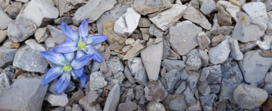 ALICE NINE. - Waterfall Lyrics English Translation